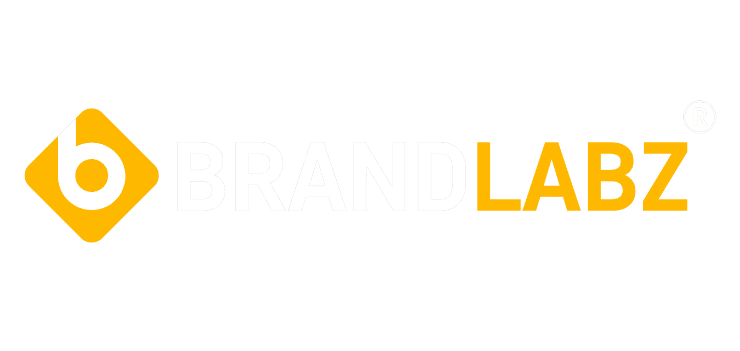 Digital Marketing Agency in Kerala- BrandLabz